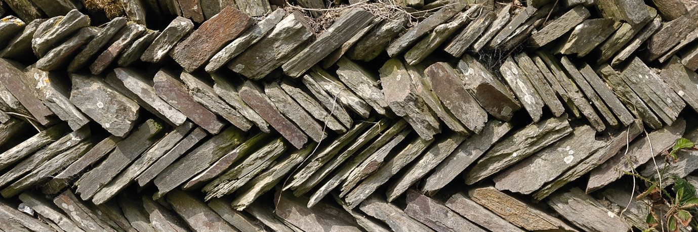 Slate Software – Software for Social Workers by Social Workers